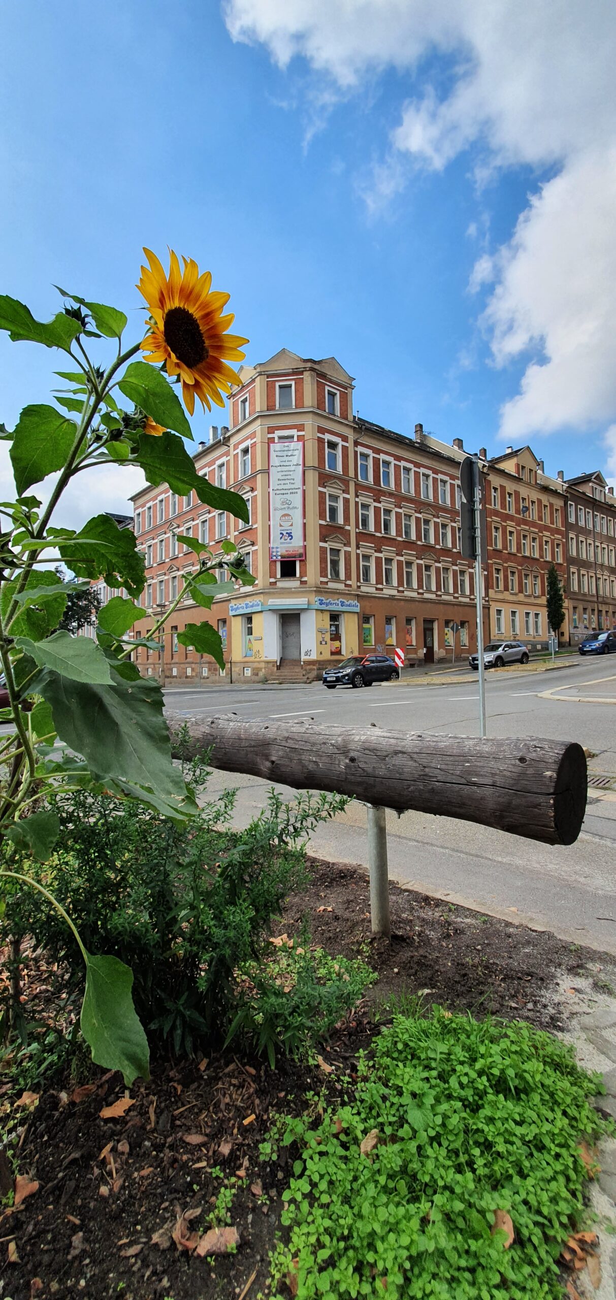 Chemnitz Sonnenberg | Barrierefreies JaZie-Projekthaus steht in den ...
